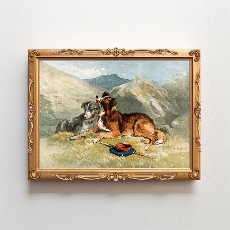 Vintage Dog Art | Dog Drawing | Sheepdogs on Mountain | 19th Century ...