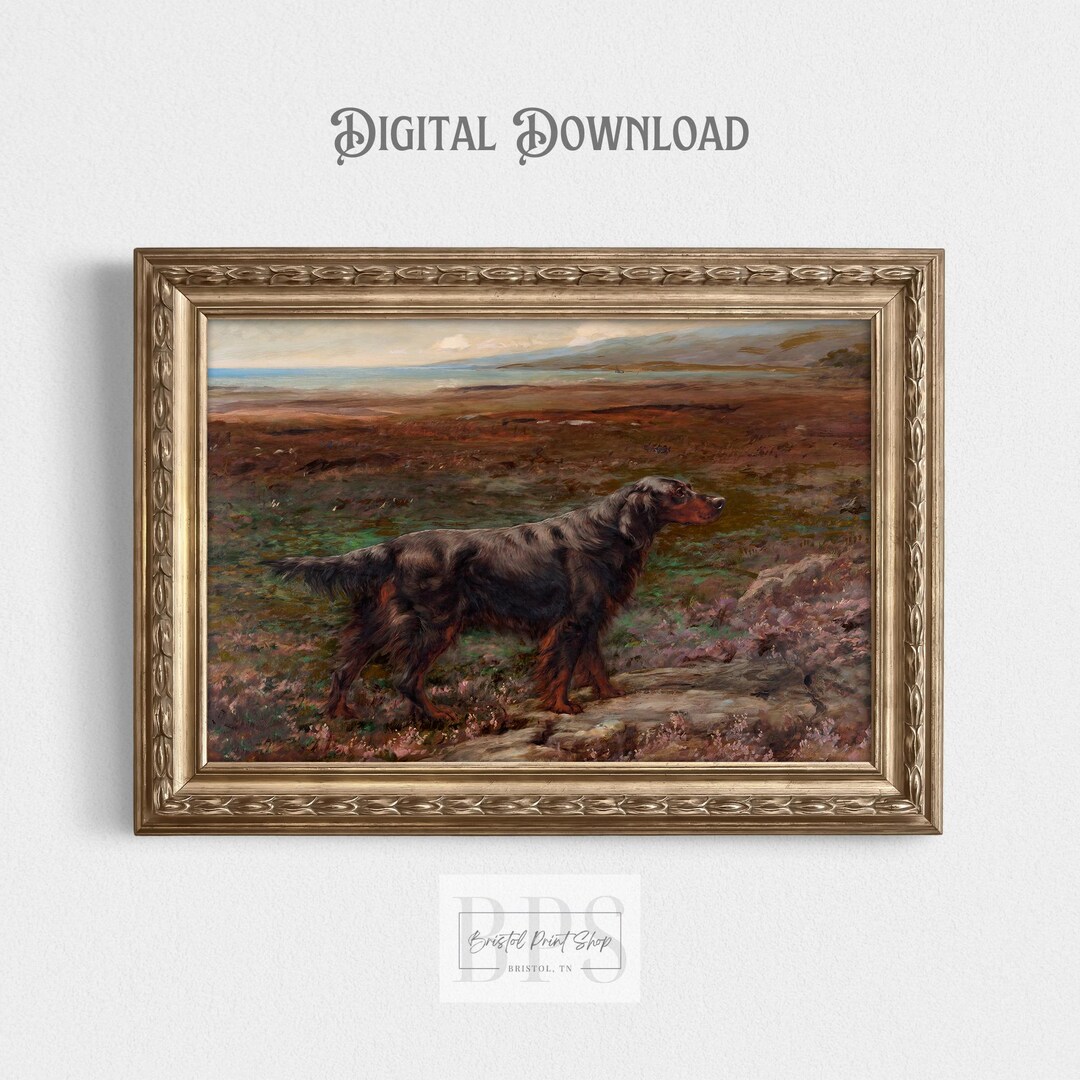 Vintage Hunting Dog Art | Dog Portrait | Antique Setter Wall Art | 19th ...