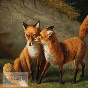 Vintage 1865 Fox Family Painting | Wilderness Animal Print | Antique ...