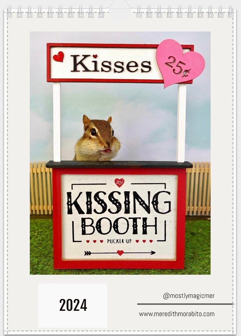 Chipmunk Photography 2024 Calendar - Etsy