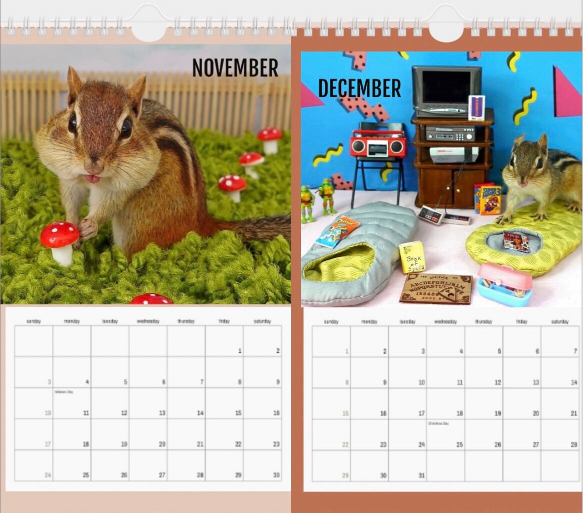 Chipmunk Photography 2024 Calendar - Etsy