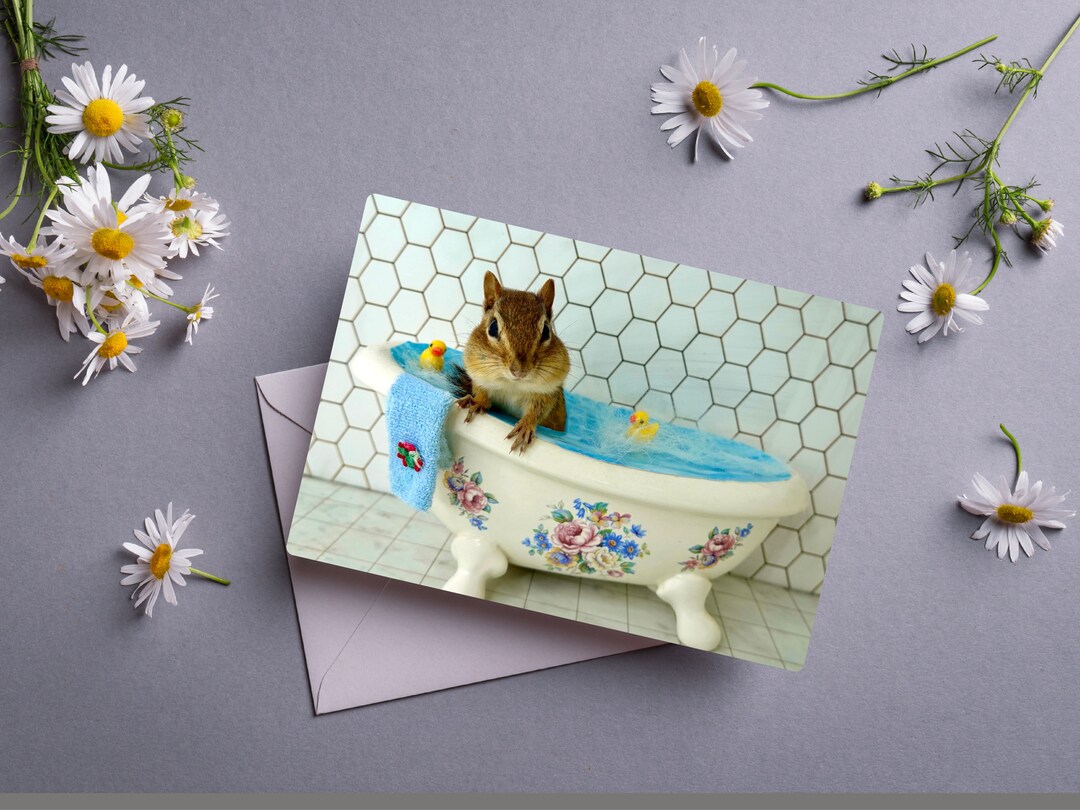 Chipmunk Bath Notecard - Etsy