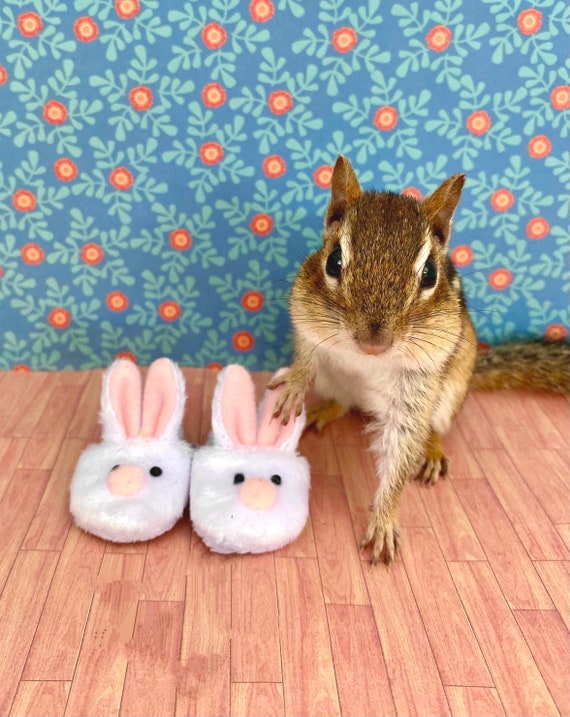 Chipmunk Bunny Slippers Notecard | Etsy