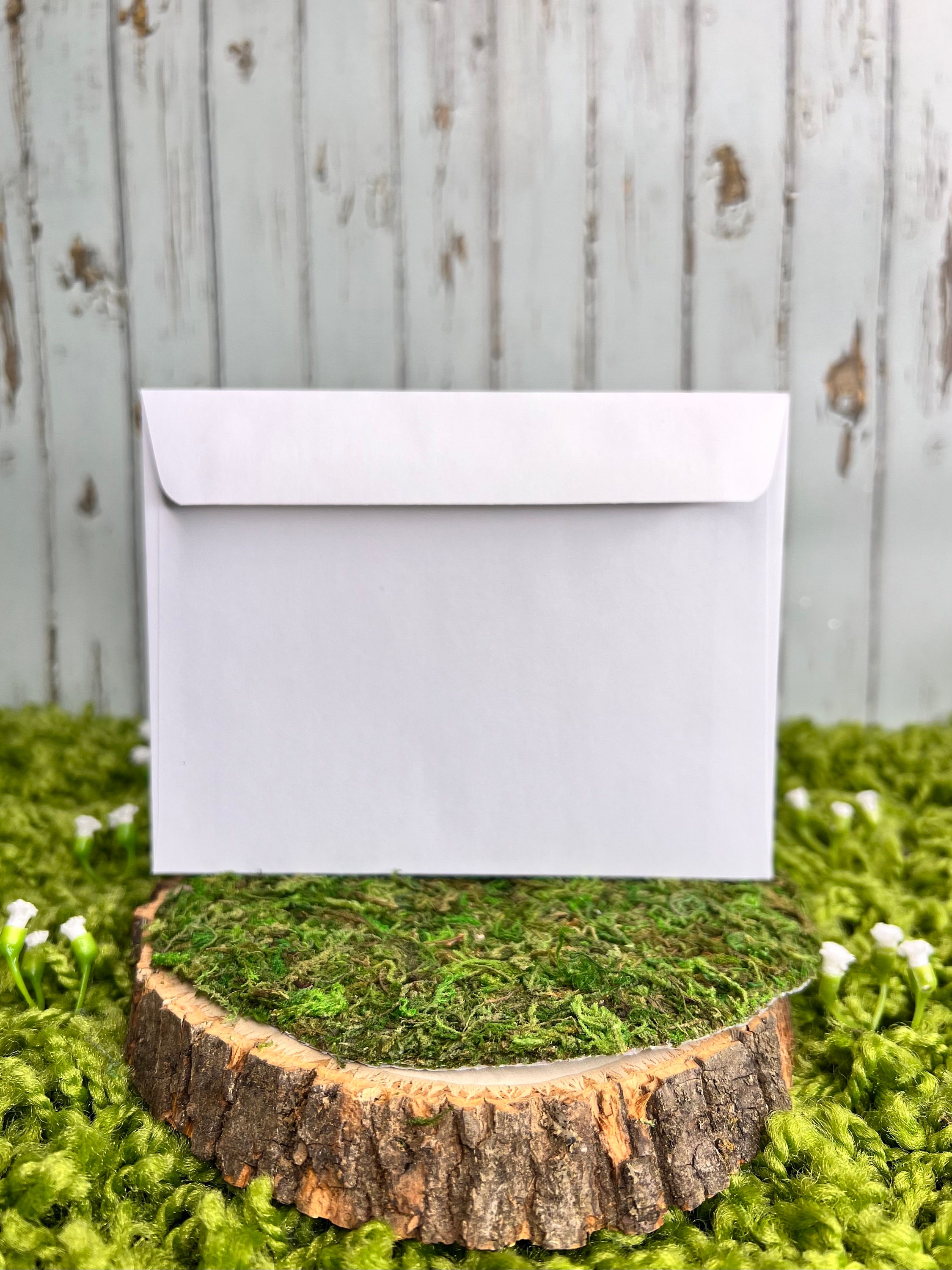 Chipmunk Birthday Card - Etsy