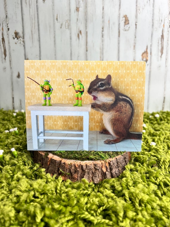 Teenage Mutant Ninja Squirrels