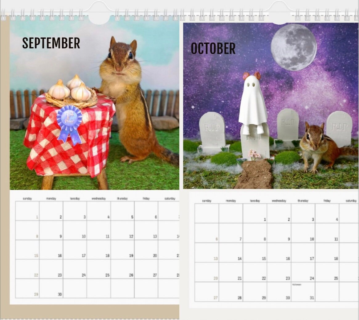 Chipmunk Photography 2024 Calendar - Etsy