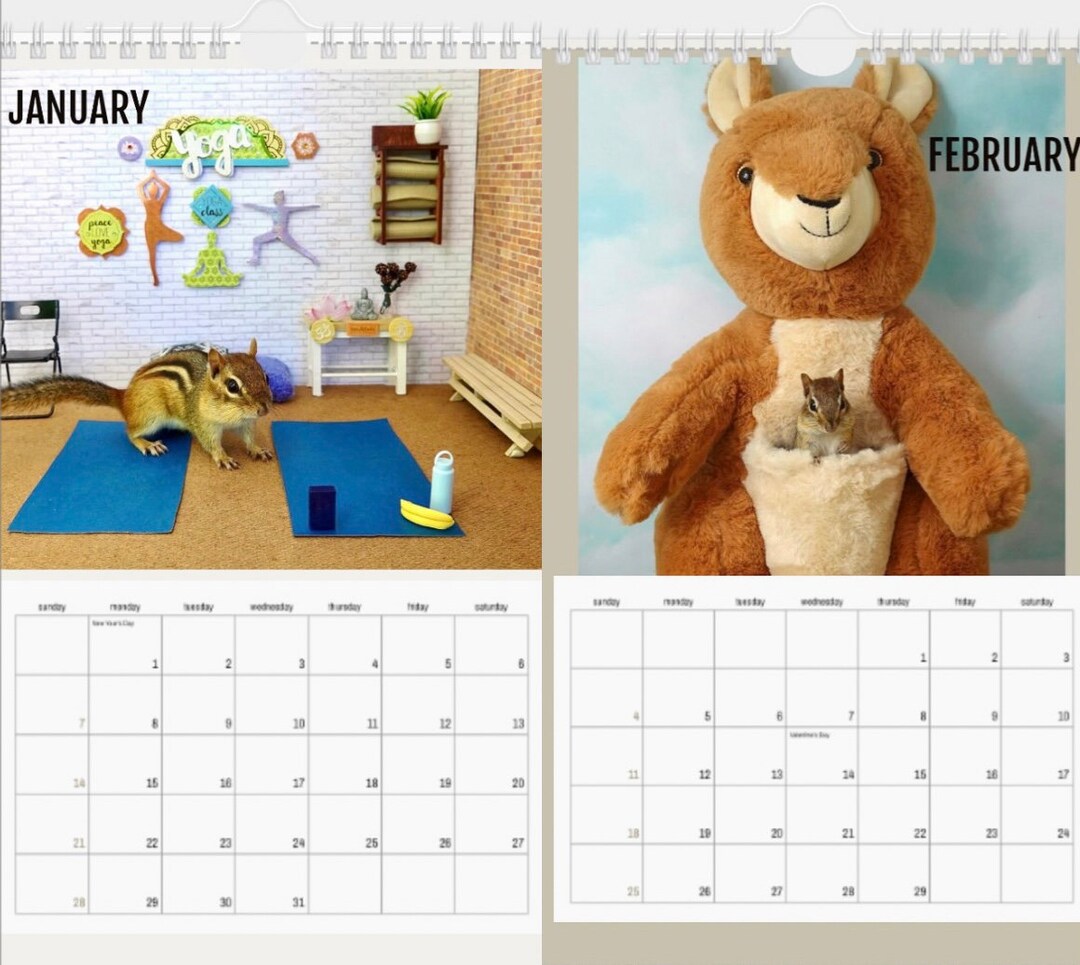 Chipmunk Photography 2024 Calendar - Etsy
