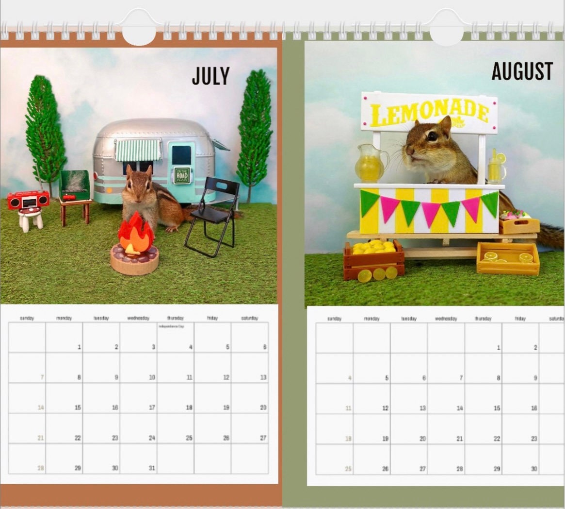 Chipmunk Photography 2024 Calendar - Etsy