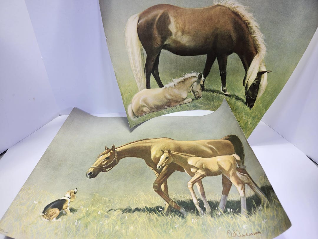 Vintage CW Anderson Horse Prints - Set of 2 Lithographs - Etsy