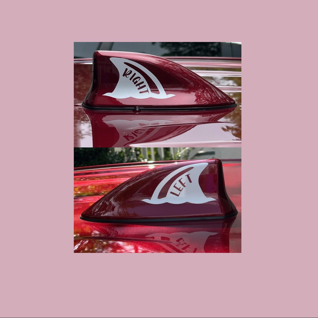 Fins Left Fins Right Decal - Etsy