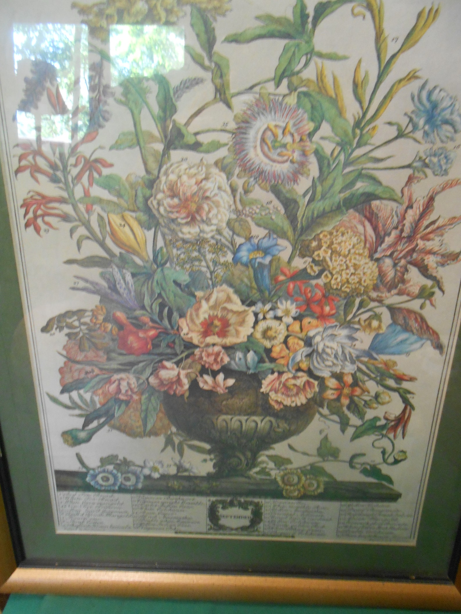 Rob Furber Gardiner of Kensington SEPTEMBER Framed Print | Etsy