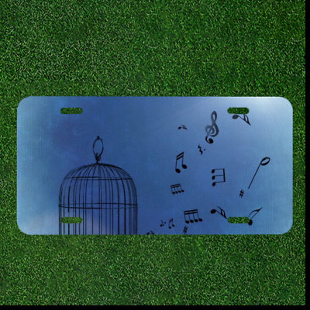 Custom Personalized License Plate Auto Tag With Bird Cage and Music ...