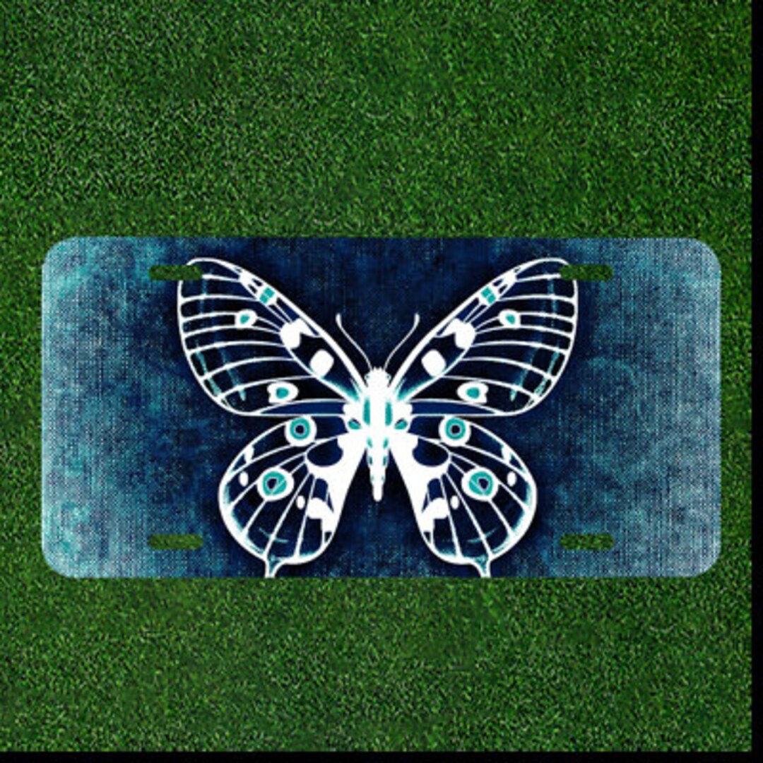Custom Personalized License Plate Auto Tag With Stunning Dragon Fly ...