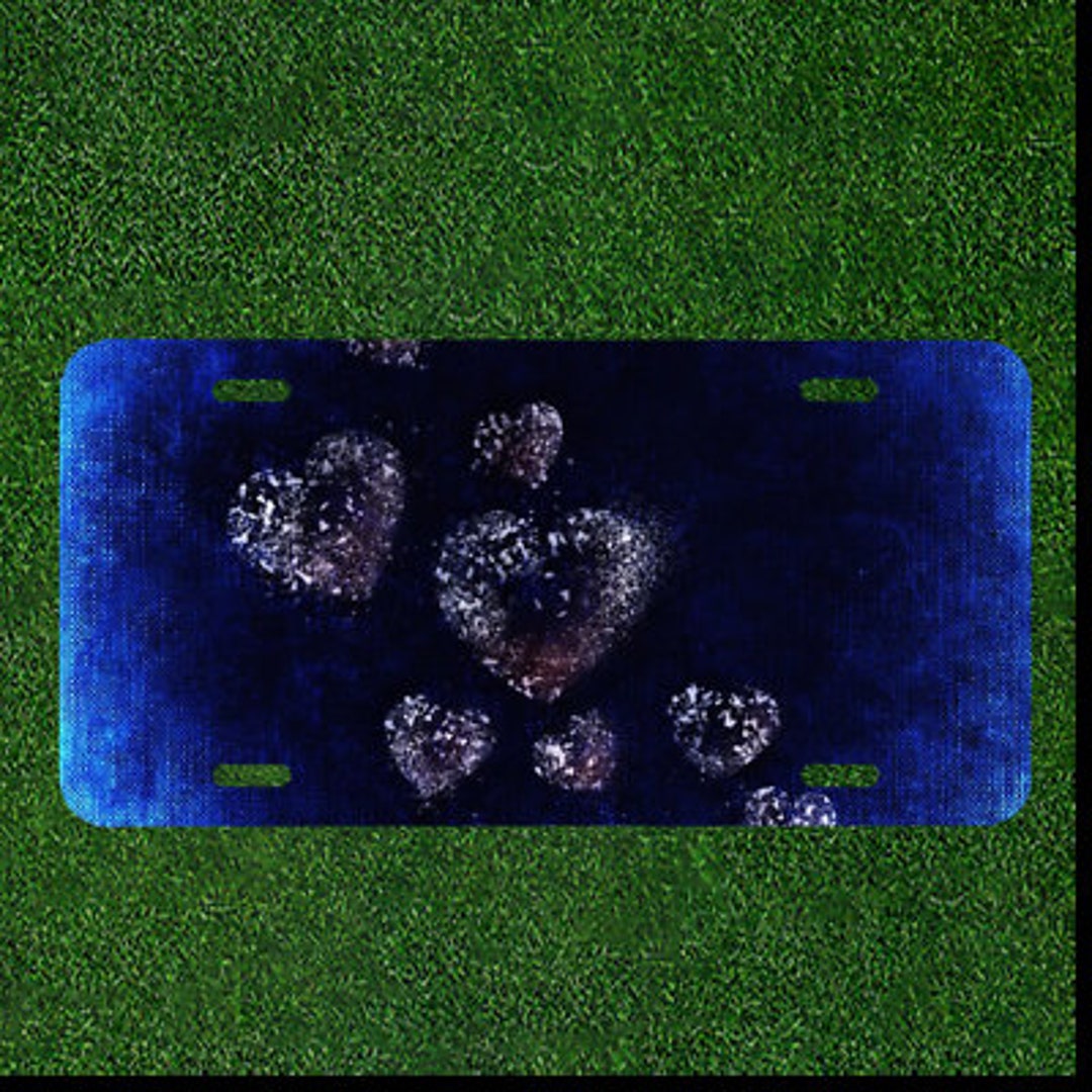 Custom Personalized License Plate Auto Tag With Stunning Hearts With ...
