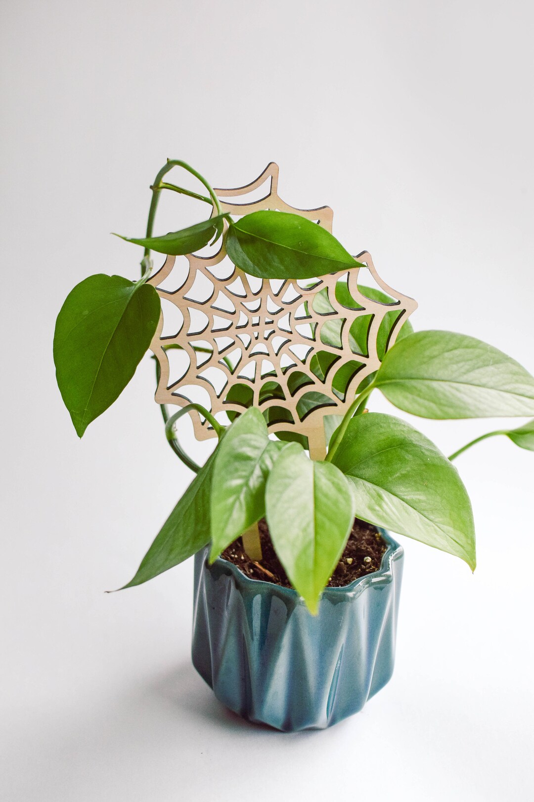 Plant Trellis SVG, Spiderweb, Glowforge Laser File, Trellis File ...