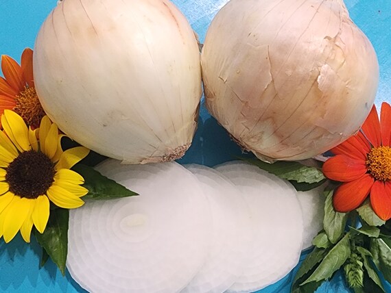 Texas Sweet Onion Seed