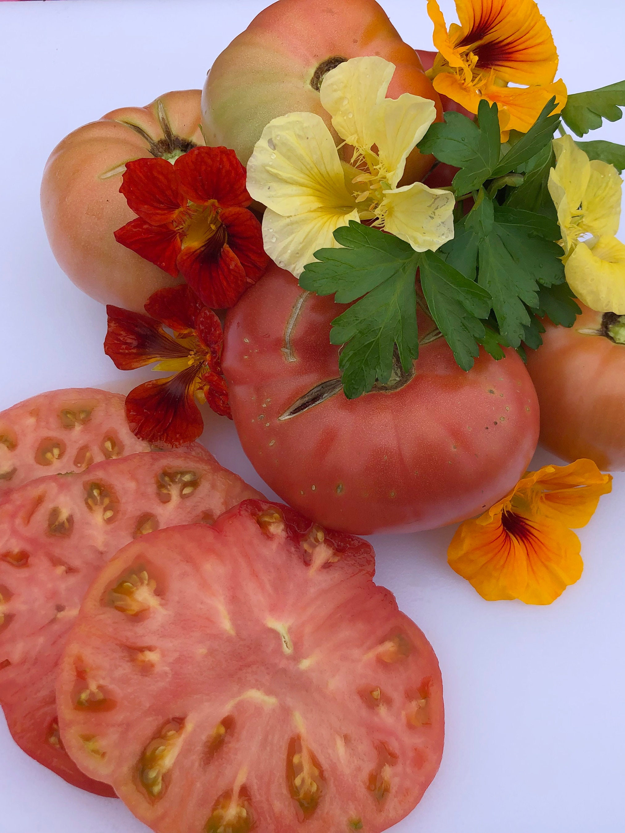 Climbing Triple L Crop Aka Italian Tree Tomato Heirloom Tomato - Etsy