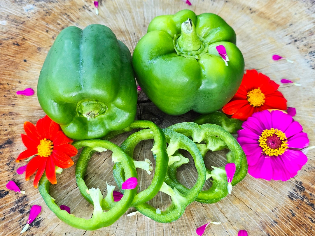 Emerald Giant Sweet Green Bell Pepper Seeds - Heirloom Vegetable Seeds ...
