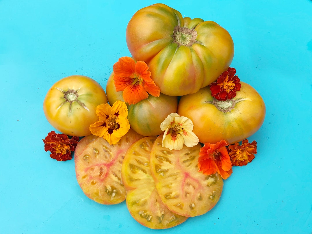 Virginia Sweets Beefsteak Heirloom Tomato Vegetable Seeds - Etsy
