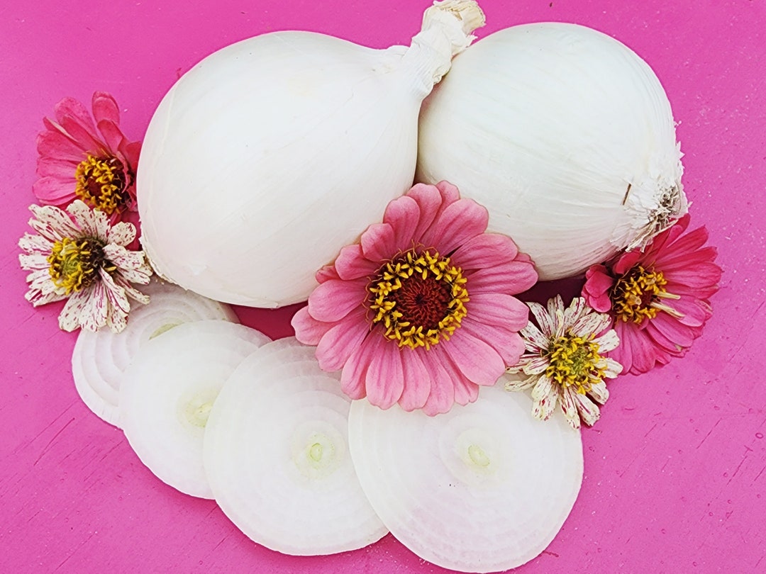 Early White Grano Sweet Short Day Onion Seeds Heirloom Yellow Sweet ...