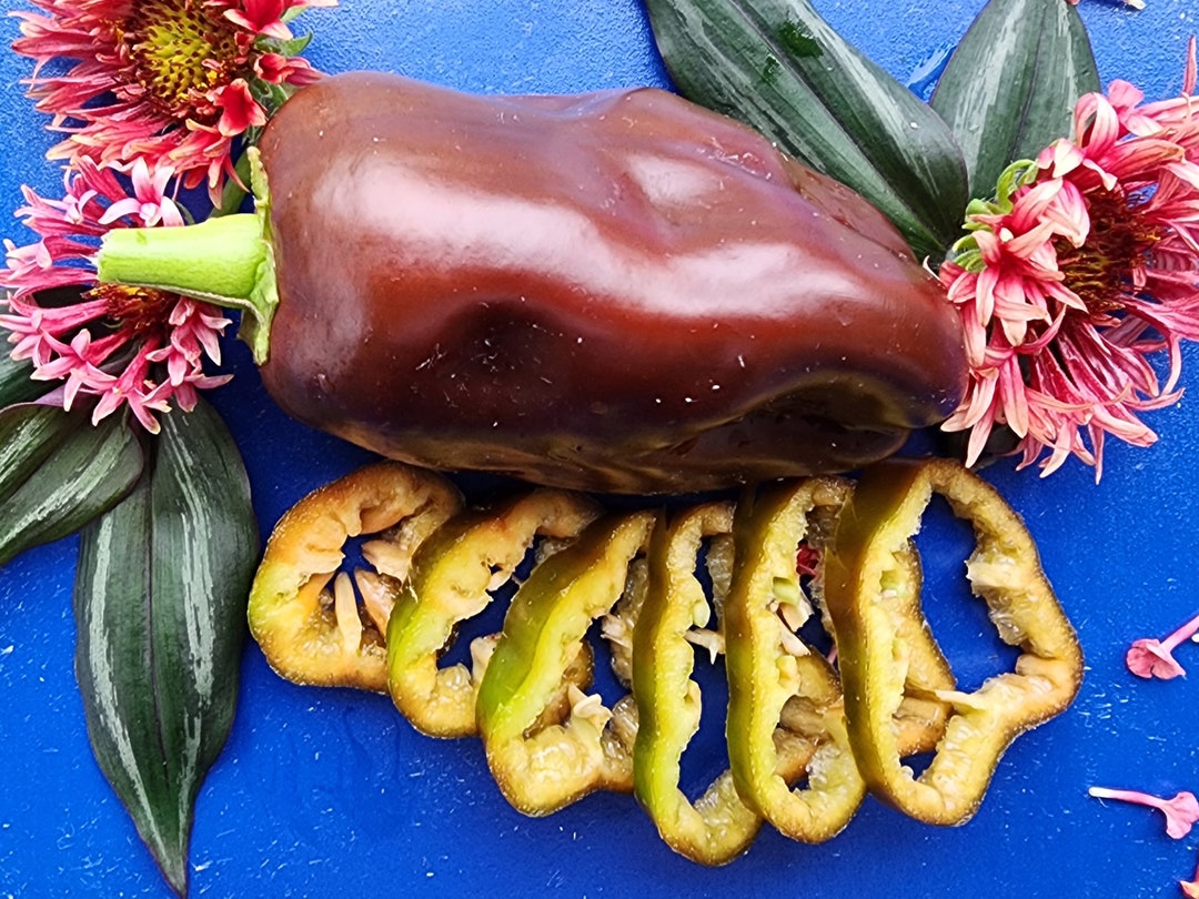 Sweet Chocolate Sweet Bell Pepper Heirloom Vegetable Seeds - Etsy
