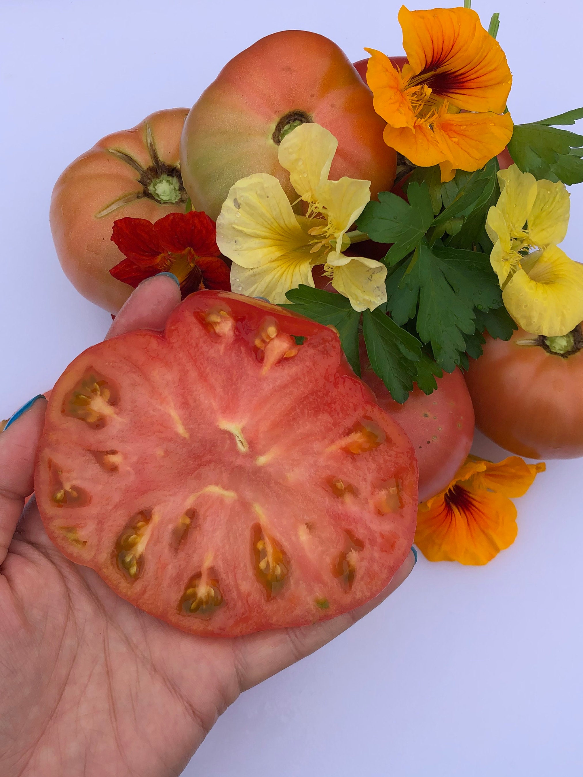 Climbing Triple L Crop Aka Italian Tree Tomato Heirloom Tomato ...