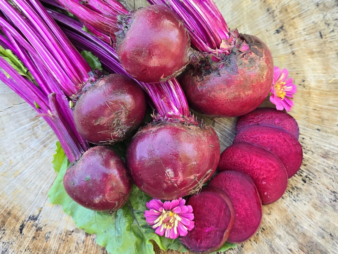 Detroit Dark Red Beet Seeds - Heirloom Vegetable Seeds for Your Garden ...