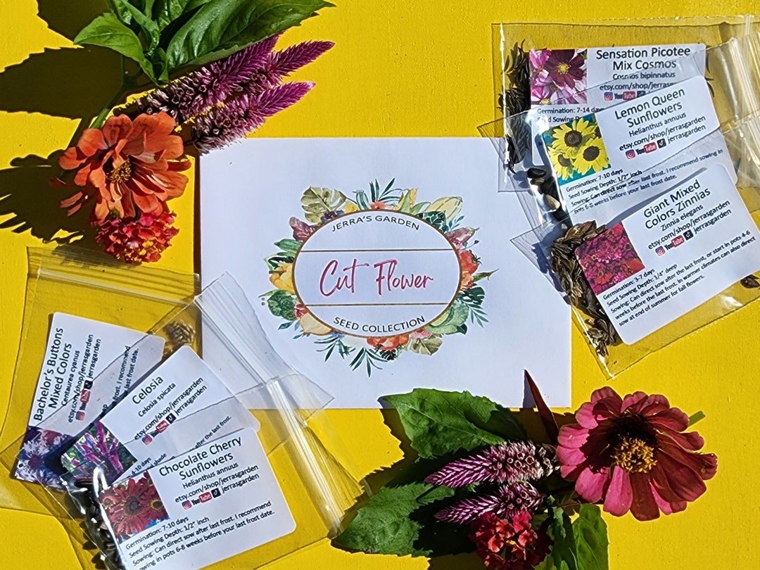 Cut Flower Garden Heirloom Seed Collection Gift Set (6 Varieties for ...