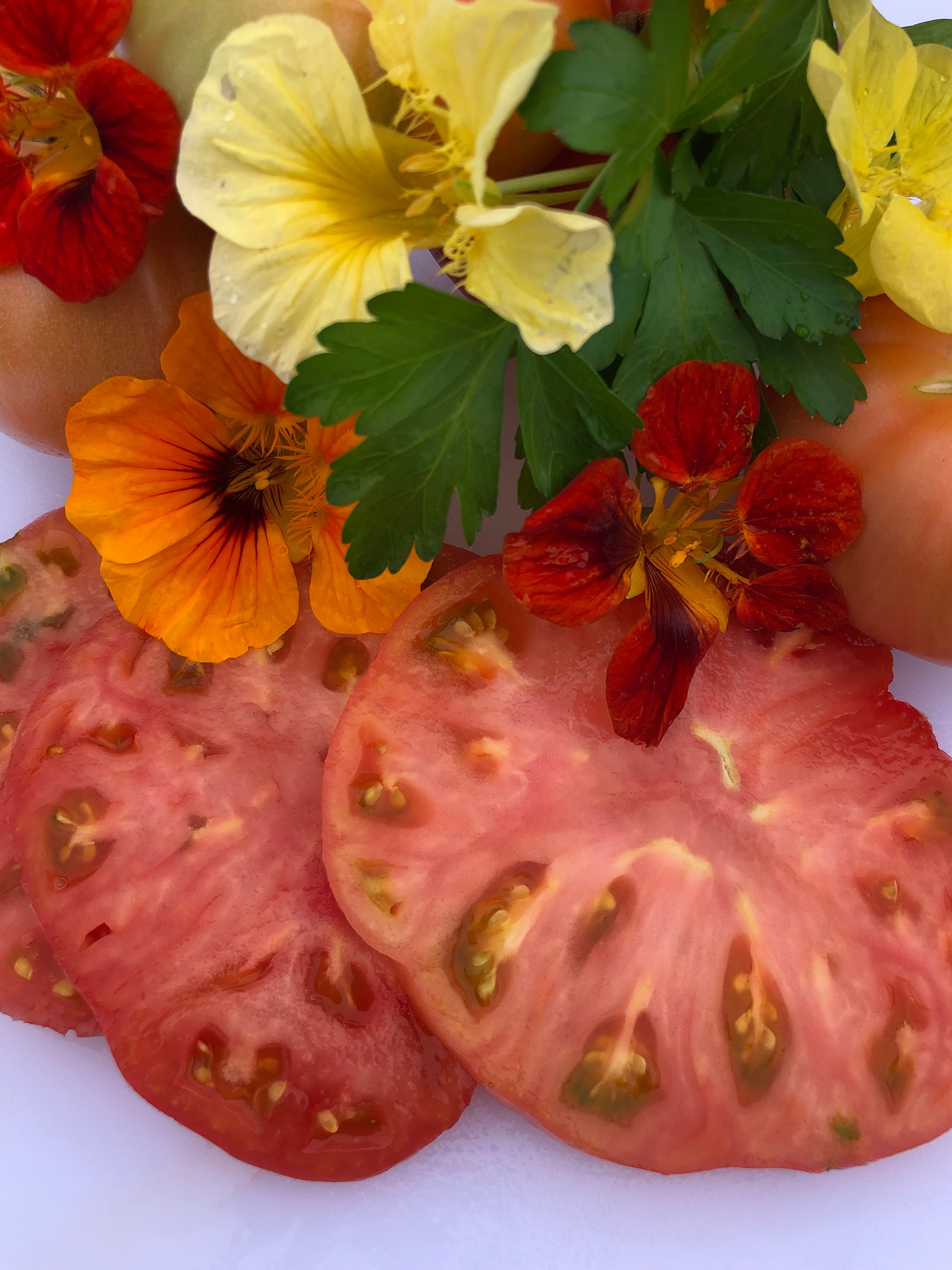 Climbing Triple L Crop Aka Italian Tree Tomato Heirloom Tomato ...
