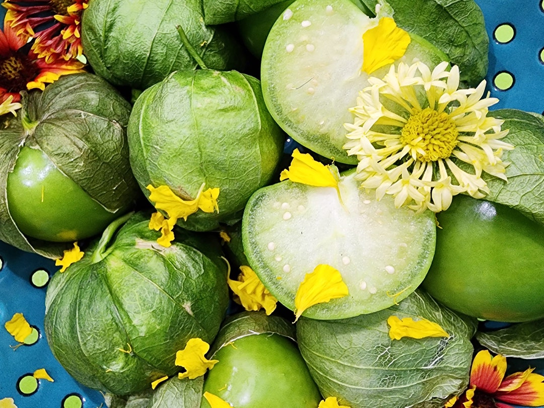 Early Green Tomatillo - Husk Tomato - Heat-tolerant Heirloom Vegetable ...
