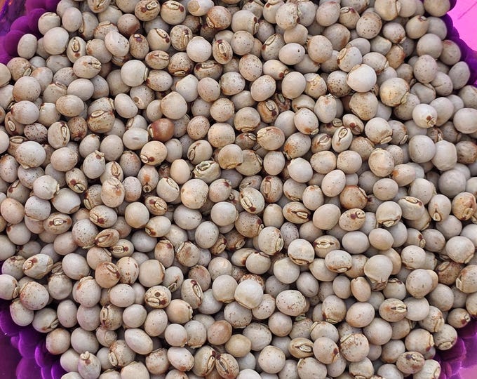 Pigeon Peas Aka Guandules Heirloom Vegetable Seeds - Etsy