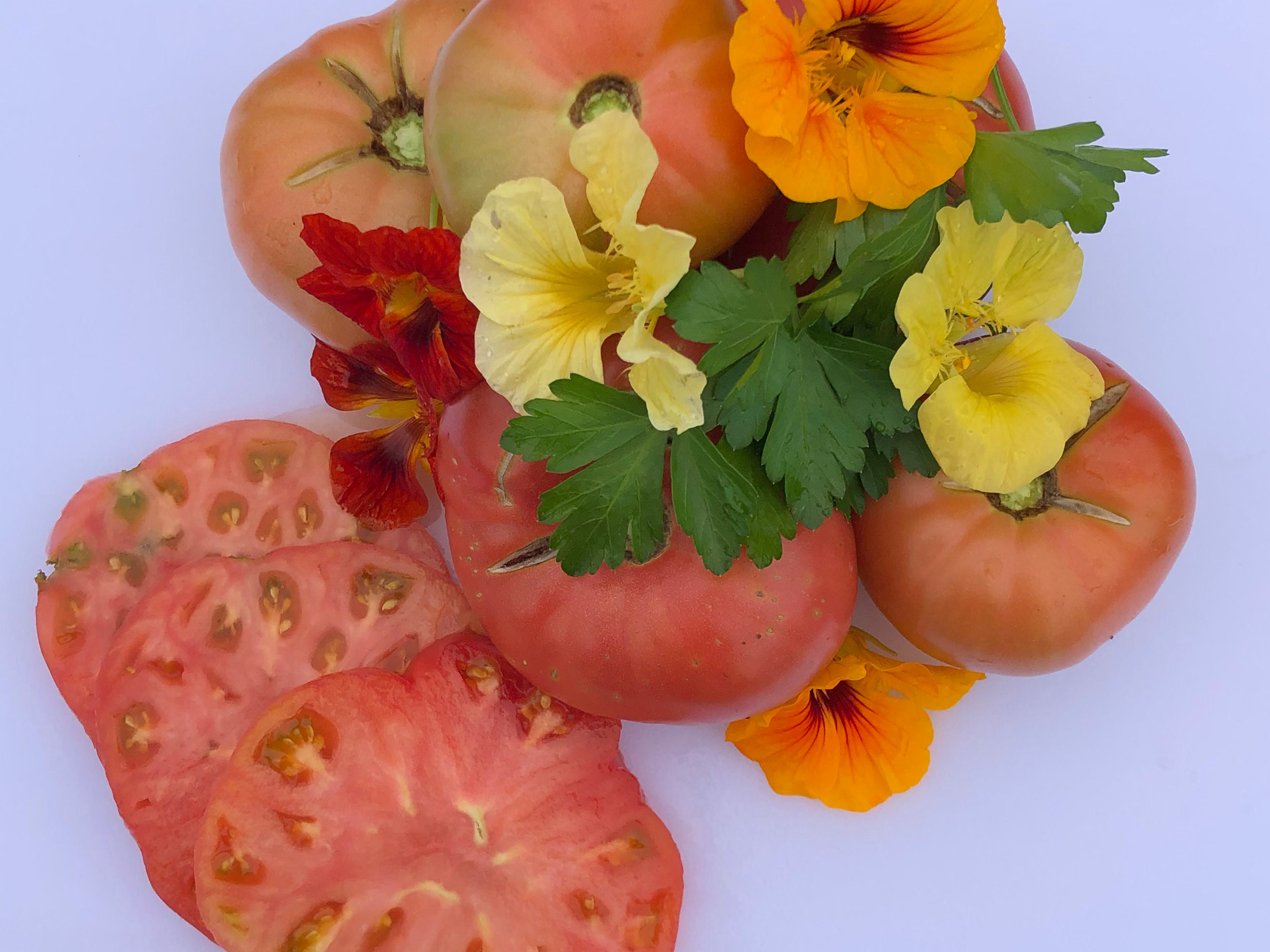 Climbing Triple L Crop Aka Italian Tree Tomato Heirloom Tomato - Etsy