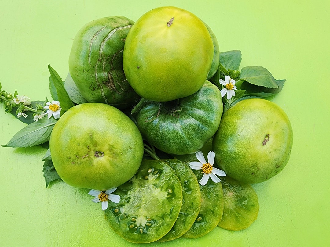 Moldovan Green Tomato Seeds - Beefsteak Heirloom Green Tomato Vegetable ...