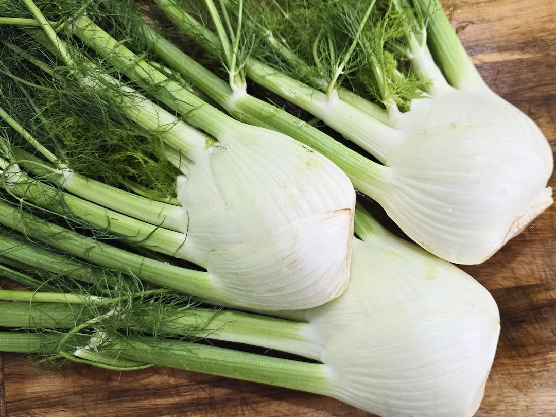 Fennel Seeds - Vegetable Bulb, Herb, & Butterfly Host Plant Heirloom ...