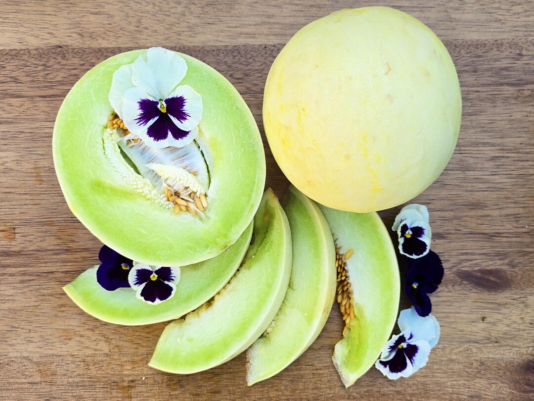 Green Flesh Honeydew Melon Seeds - Delicious, Fragrant & Easy to Grow ...
