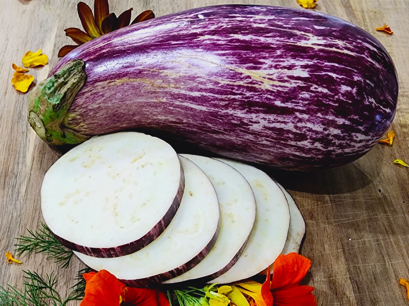 Galaxy of Stars Eggplant Heirloom Vegetable Seeds - Etsy