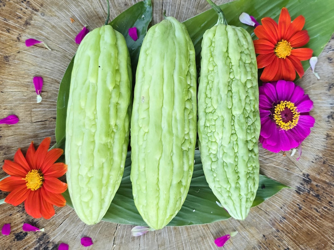 Green Bitter Melon Gourd Ku Gua Heirloom Asian Vegetable Seeds - Etsy