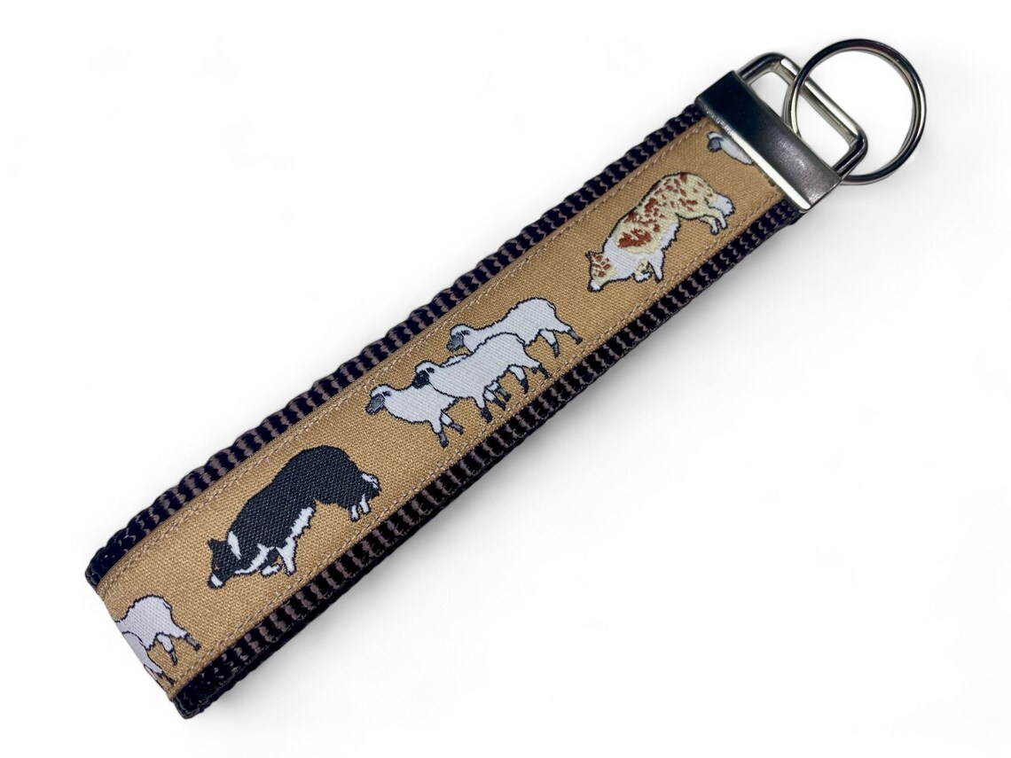 Border Collie - Blue Merle - Red Merle - Black Bi - Red Bi - Sheep ...