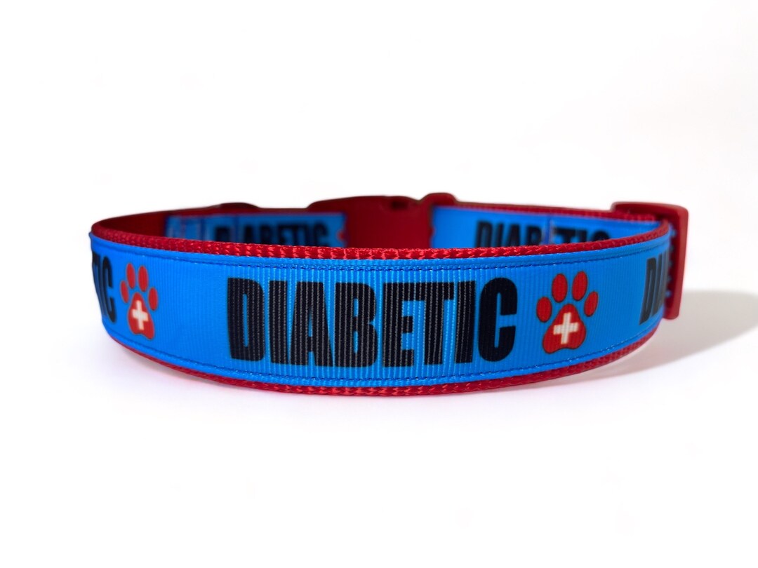 Diabetic Dog - Blue - Red - Dog Collar - 1" or 3/4" Wide - Etsy