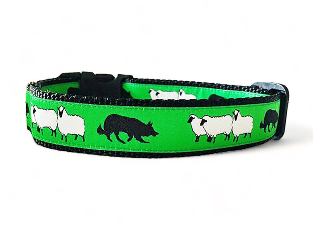 Border Collie - Herding - Sheep - Green - Dog Collar - 1" Wide - Etsy