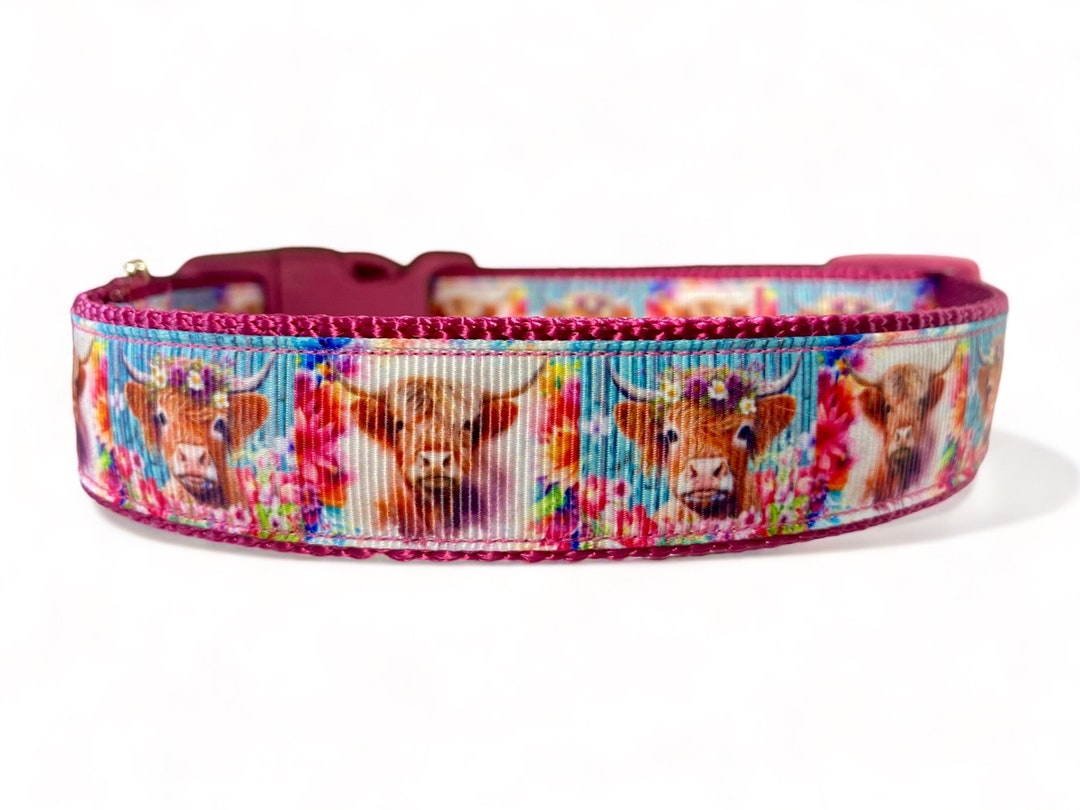Highland Cow - Cattle - Farm - Raspberry - Dog Collar - 1" Wide - Etsy