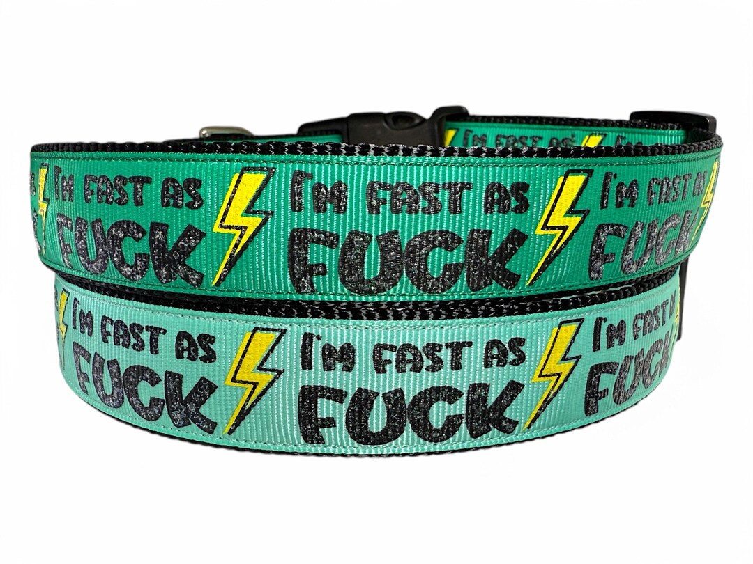 I'm Fast as F**K - Green - Dog Collar - 1" Wide - Etsy