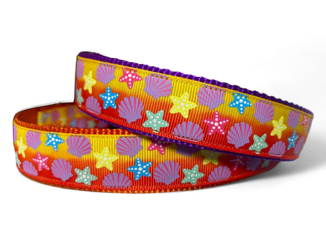 Seashell - Starfish - Beach - Summer - Orange - Purple - Dog Collar - 1 ...