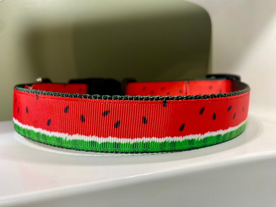 Watermelon Melon Fruit Red Green Dog Collar 1 Width - Etsy