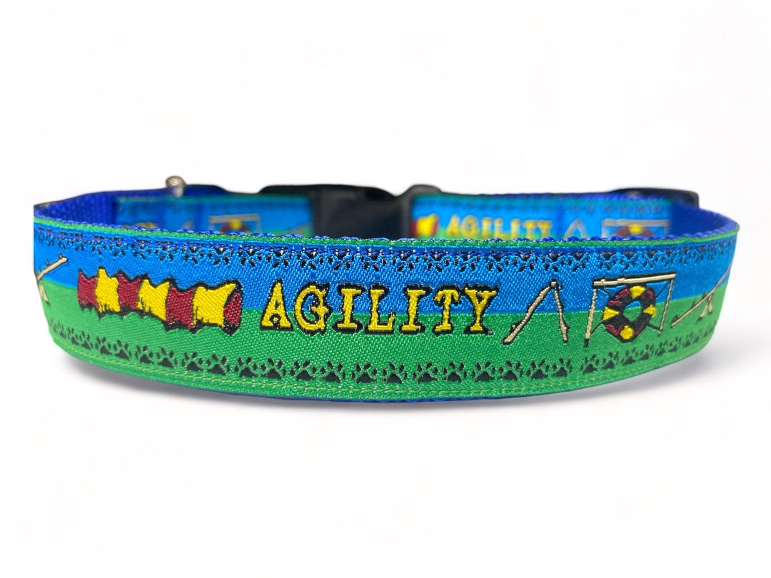 Agility Dog Agility Tunnel Tire Aframe Teeter Dog Collar 1 Wide - Etsy