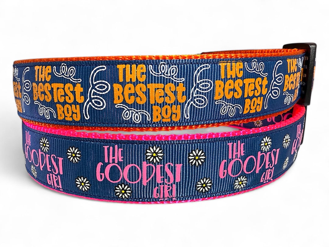 The Bestest Boy - the Goodest Girl - Navy - Orange - Pink - Dog - Dog ...