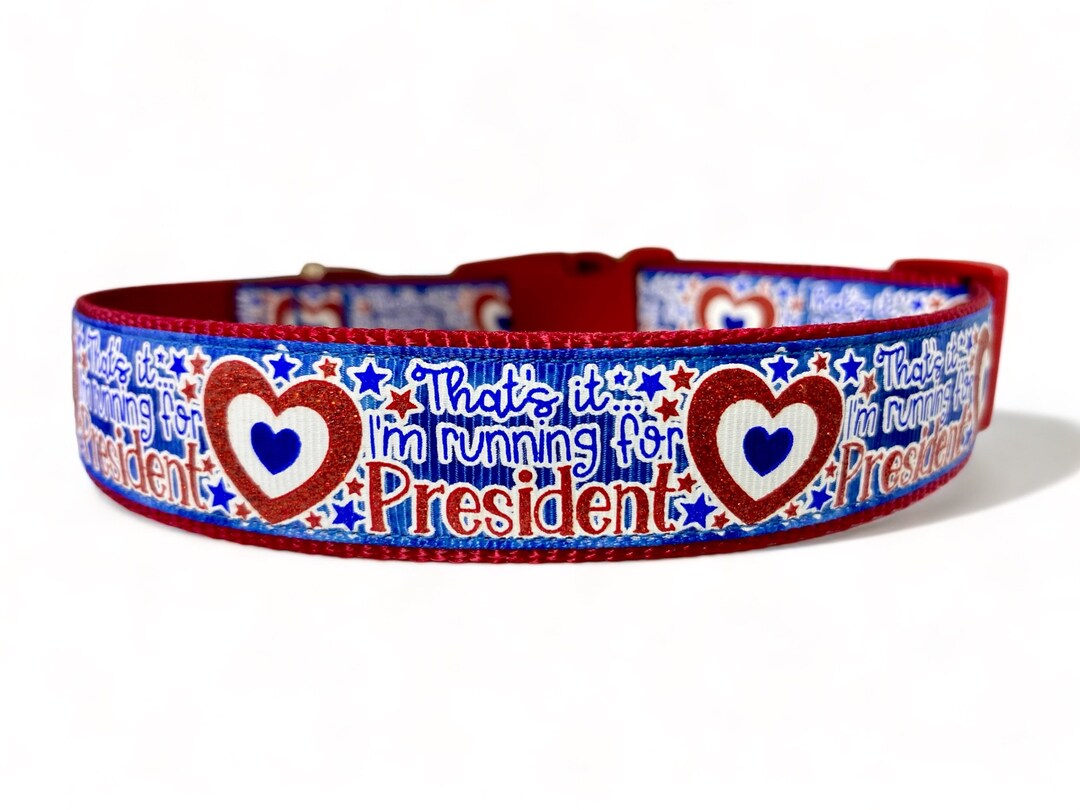 That's It...i'm Running for President - Patriotic - Red - White - Blue ...