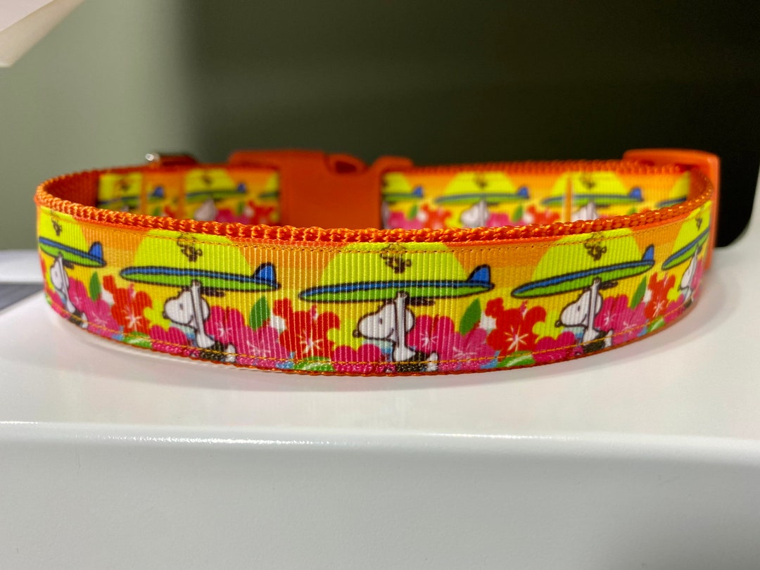 Beagle Surfing Orange Dog Collar 1 Wide - Etsy