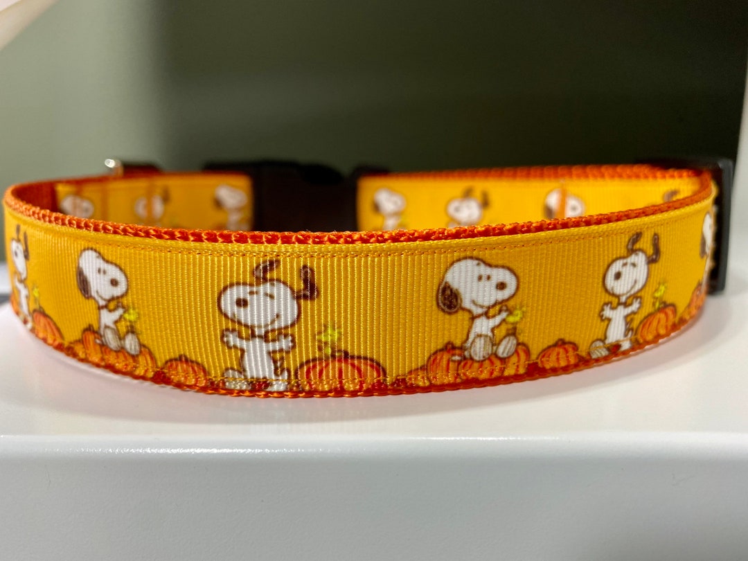 Snoopy the Peanuts Charlie Brown Pumpkins Fall Dog - Etsy Canada