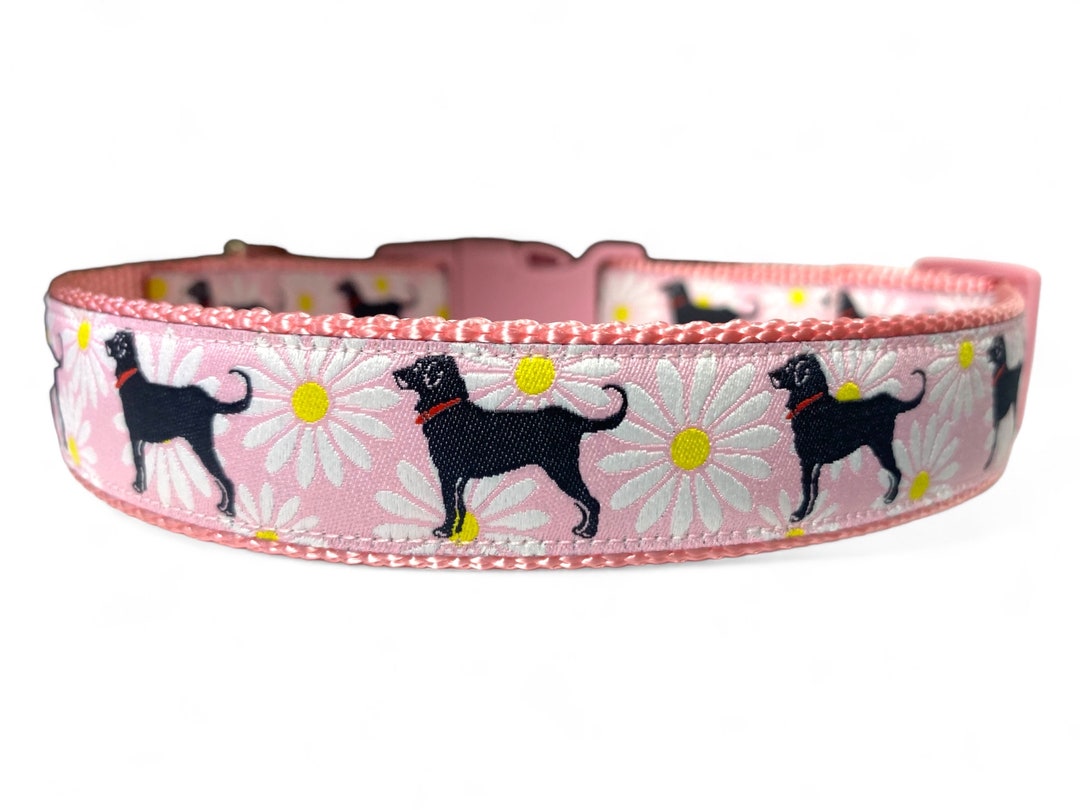 Labrador Retriever - Lab - Daisy - Flower - Pink - Dog Collar - 1" Wide ...